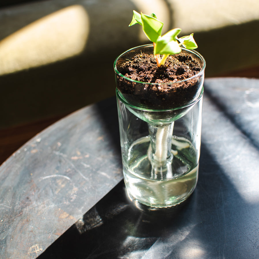 Homepage | Remark Glass